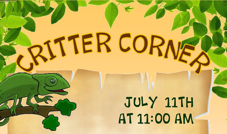 Critter Corner at McKenna Children's Museum - New Braunfels Downtown